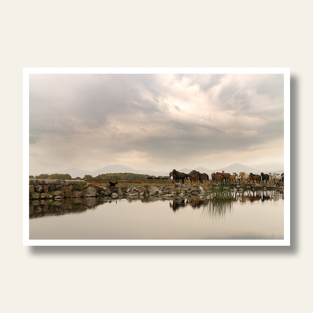 Reflections – Saffron + Poe